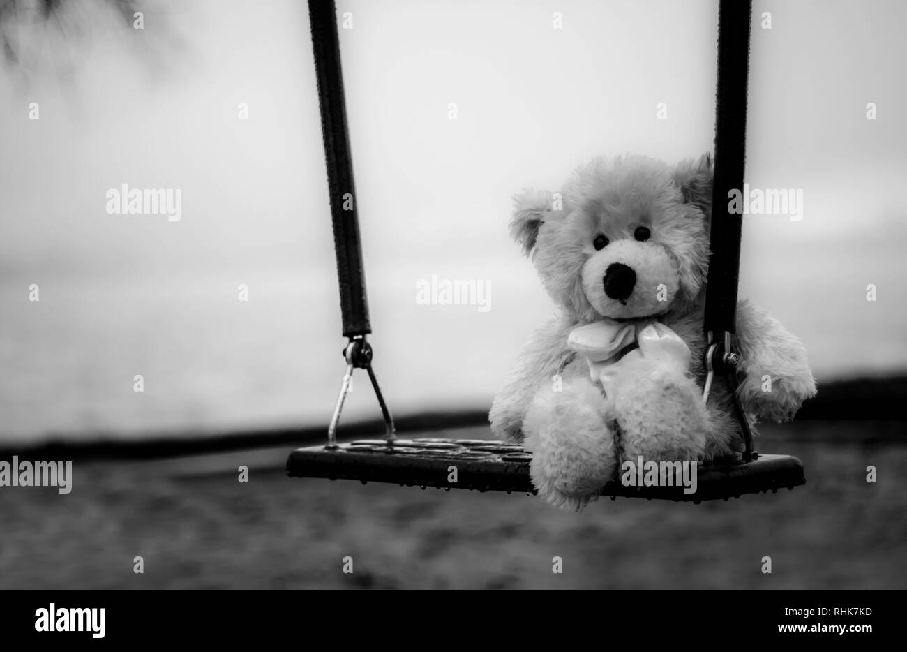 Sitting teddy Black and White Stock Photos & Images - Alamy