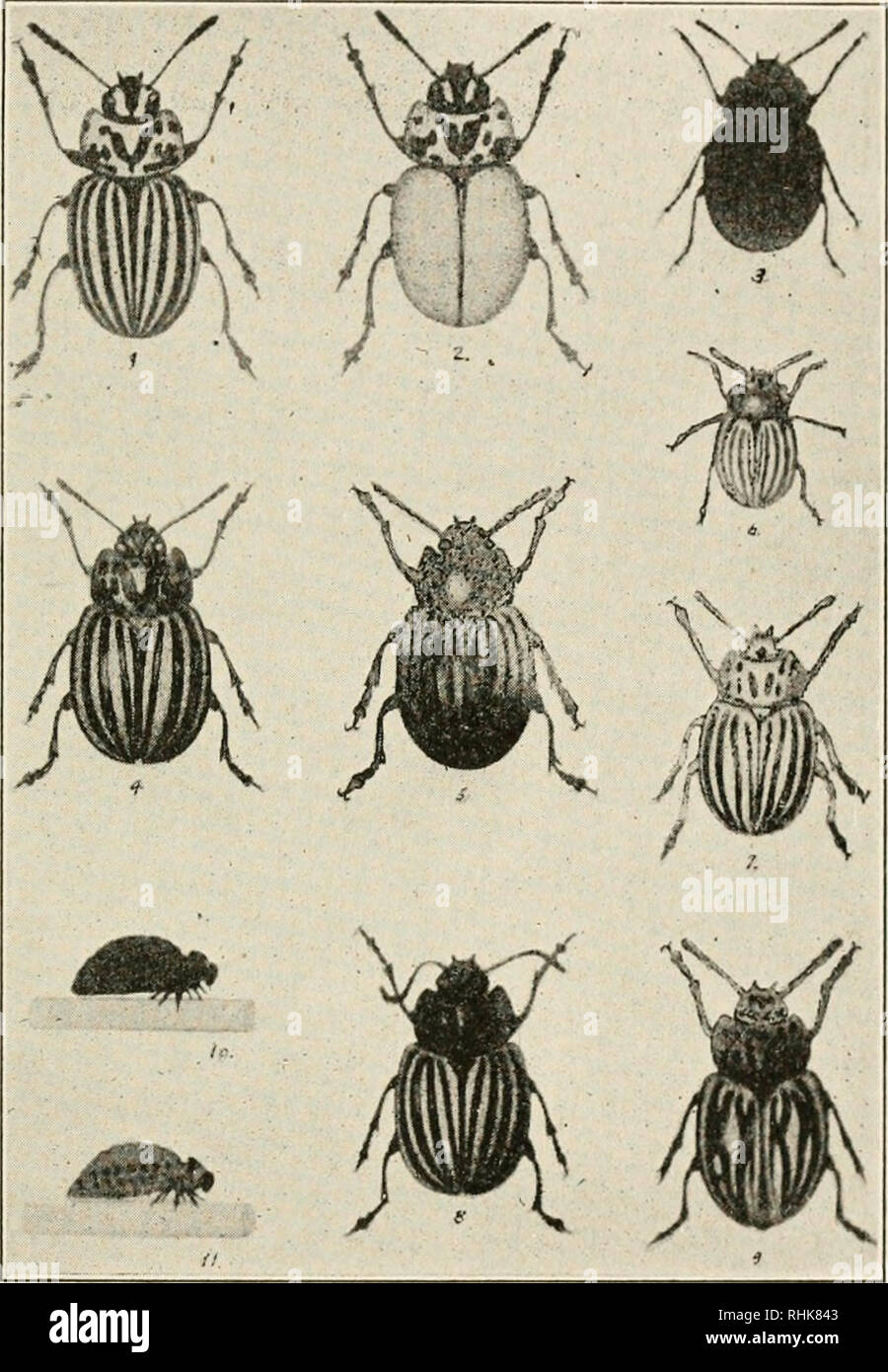 Using natures power hi-res stock photography and images - Alamy