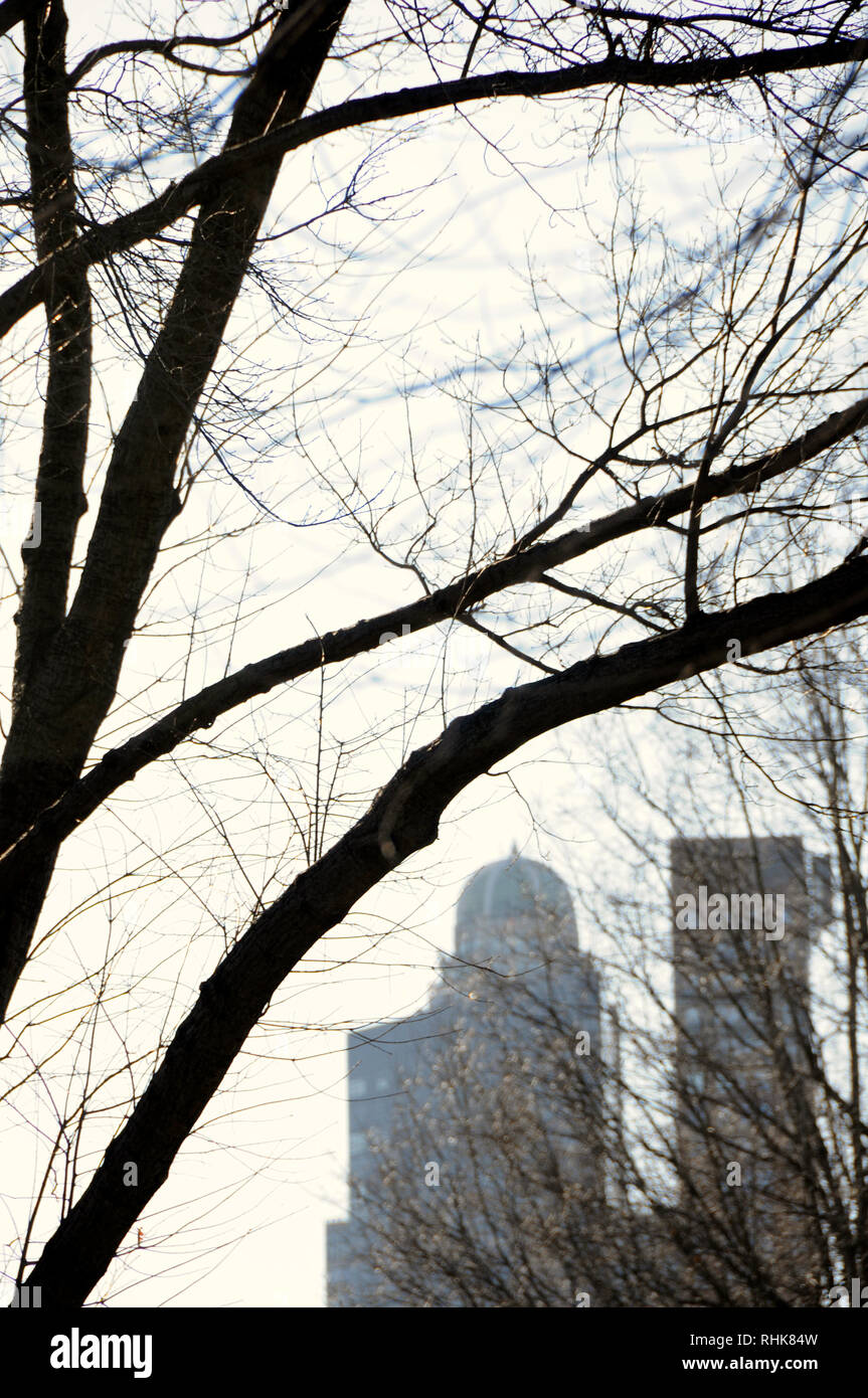 A New York City winter cityscape as seen through the leafless ...