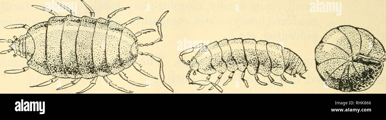 . Biology and human life. Biology. 82 BIOLOGY AND HUMAN LIFE. Fig. 47 ...