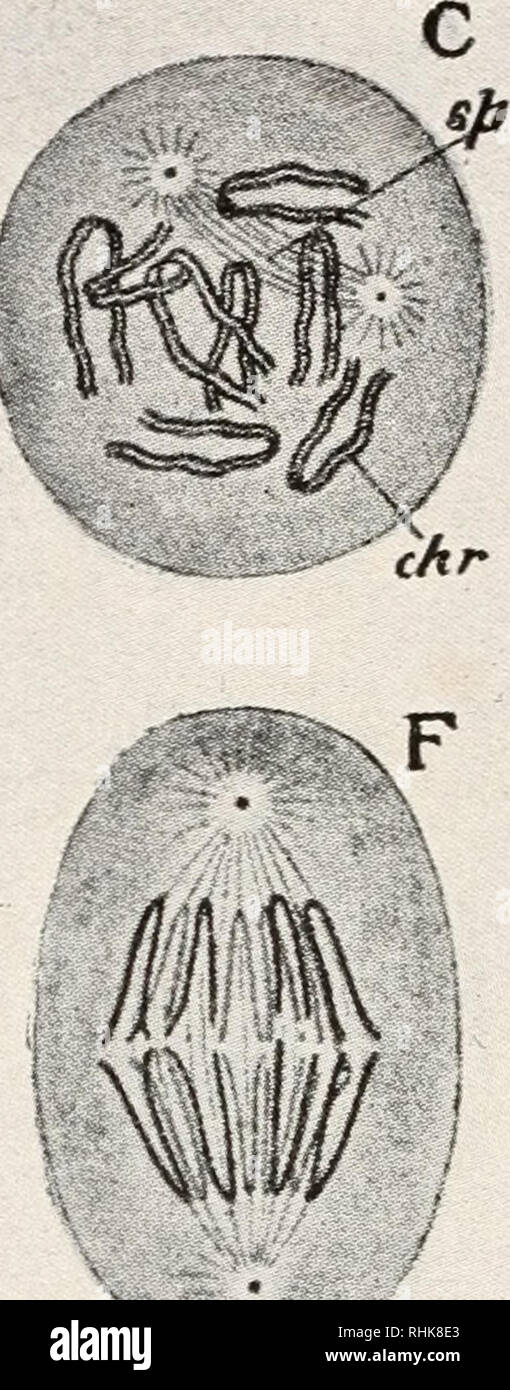 . Biology and its makers. Biology -- History. H '' I (MM, V' i Rtialmm ...