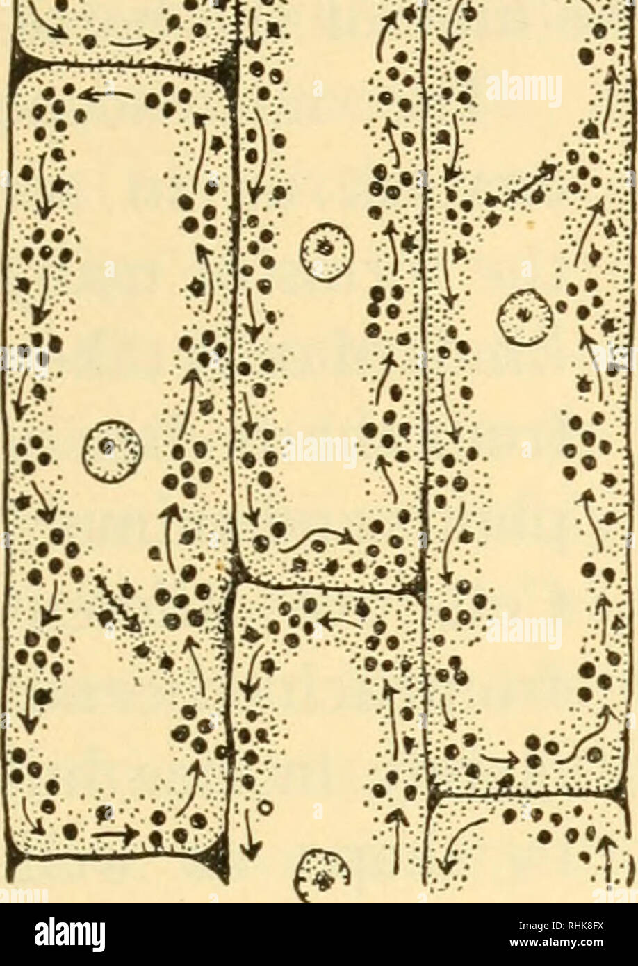 . Biology and human life. Biology. LIVING MATTER 57 â *- . â¢: â¢:â¢â I ...