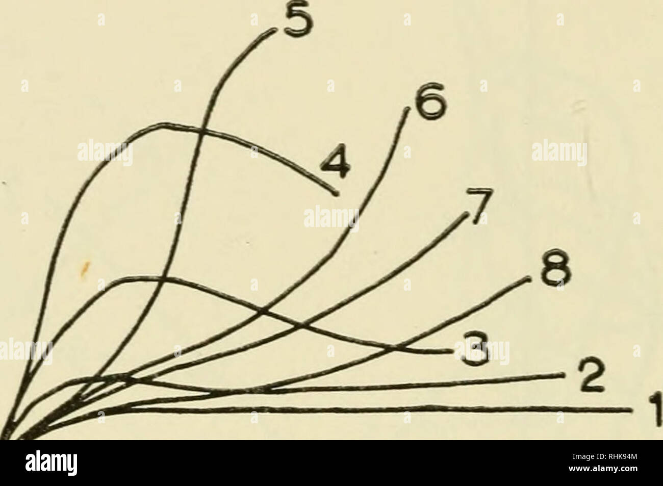 . The biology of cilia and flagella. Cilia and ciliary motion; Flagella ...