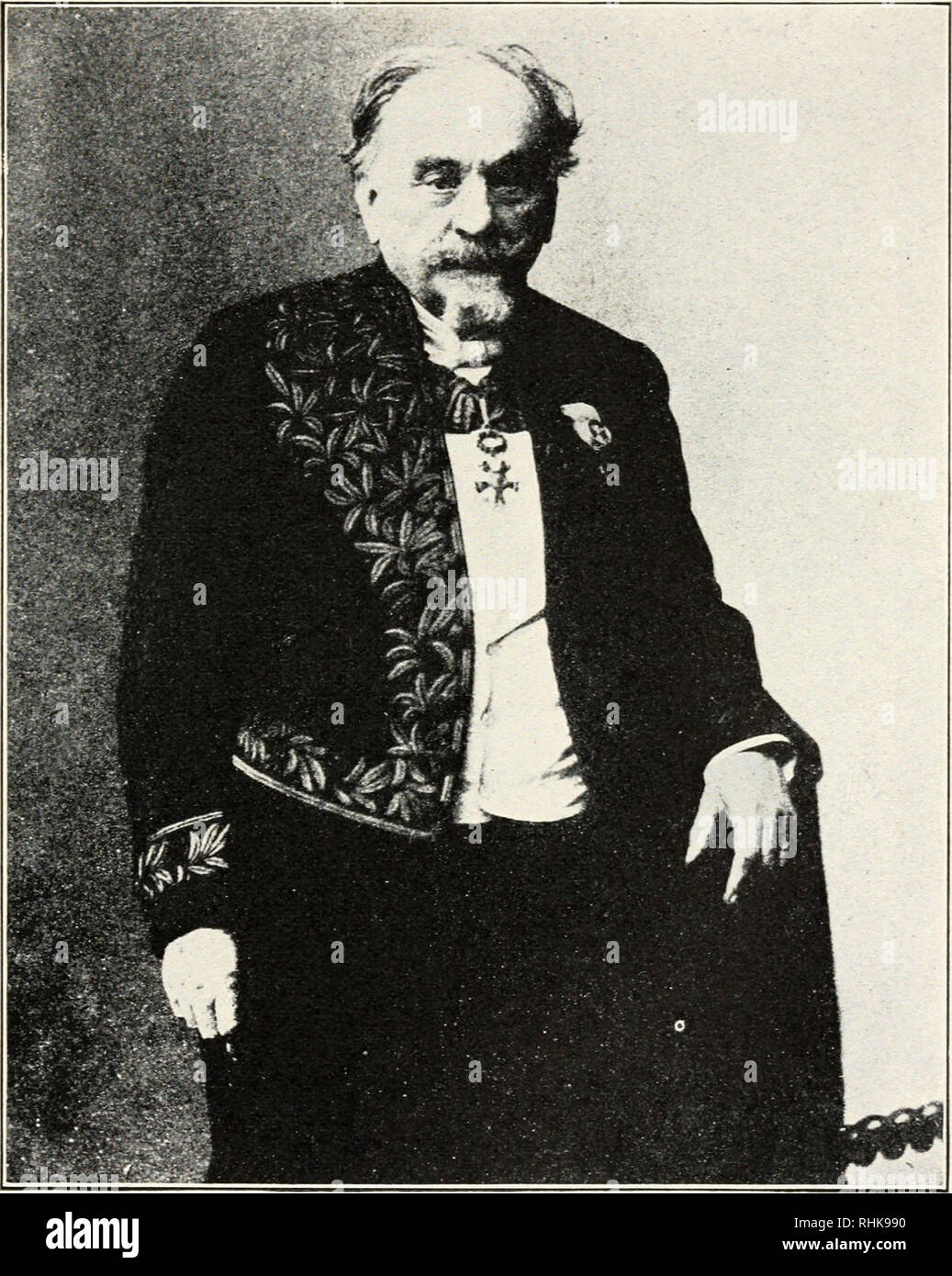 Bat wing anatomy hi-res stock photography and images - Alamy