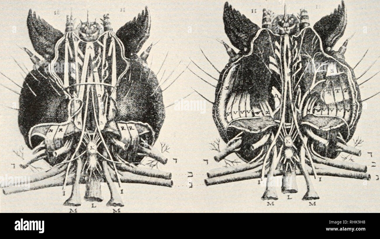 . Biology and its makers. Biology -- History. 94 BIOLOGY AND ITS MAKERS ...