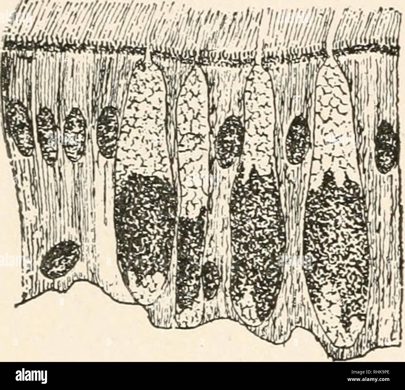 Gut reaction hi-res stock photography and images - Alamy