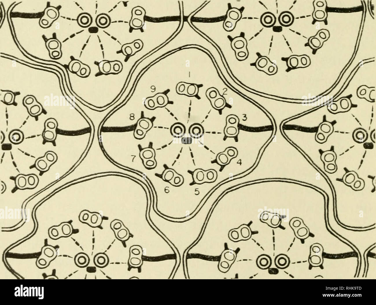 . The biology of cilia and flagella. Cilia and ciliary motion; Flagella ...