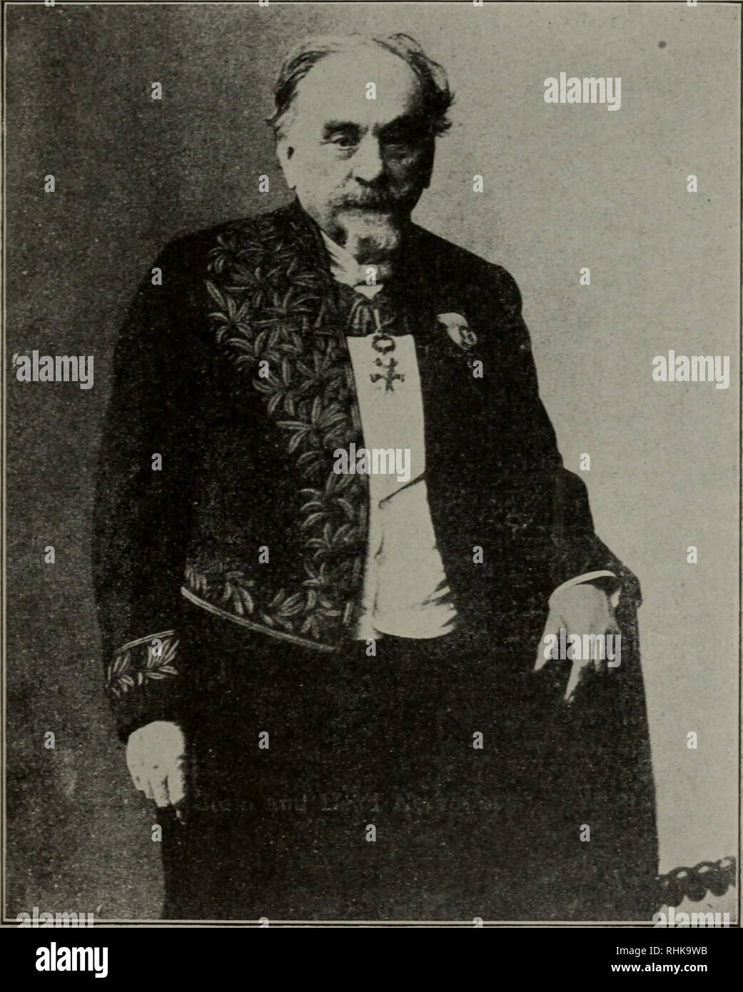 Bat wing anatomy hi-res stock photography and images - Alamy