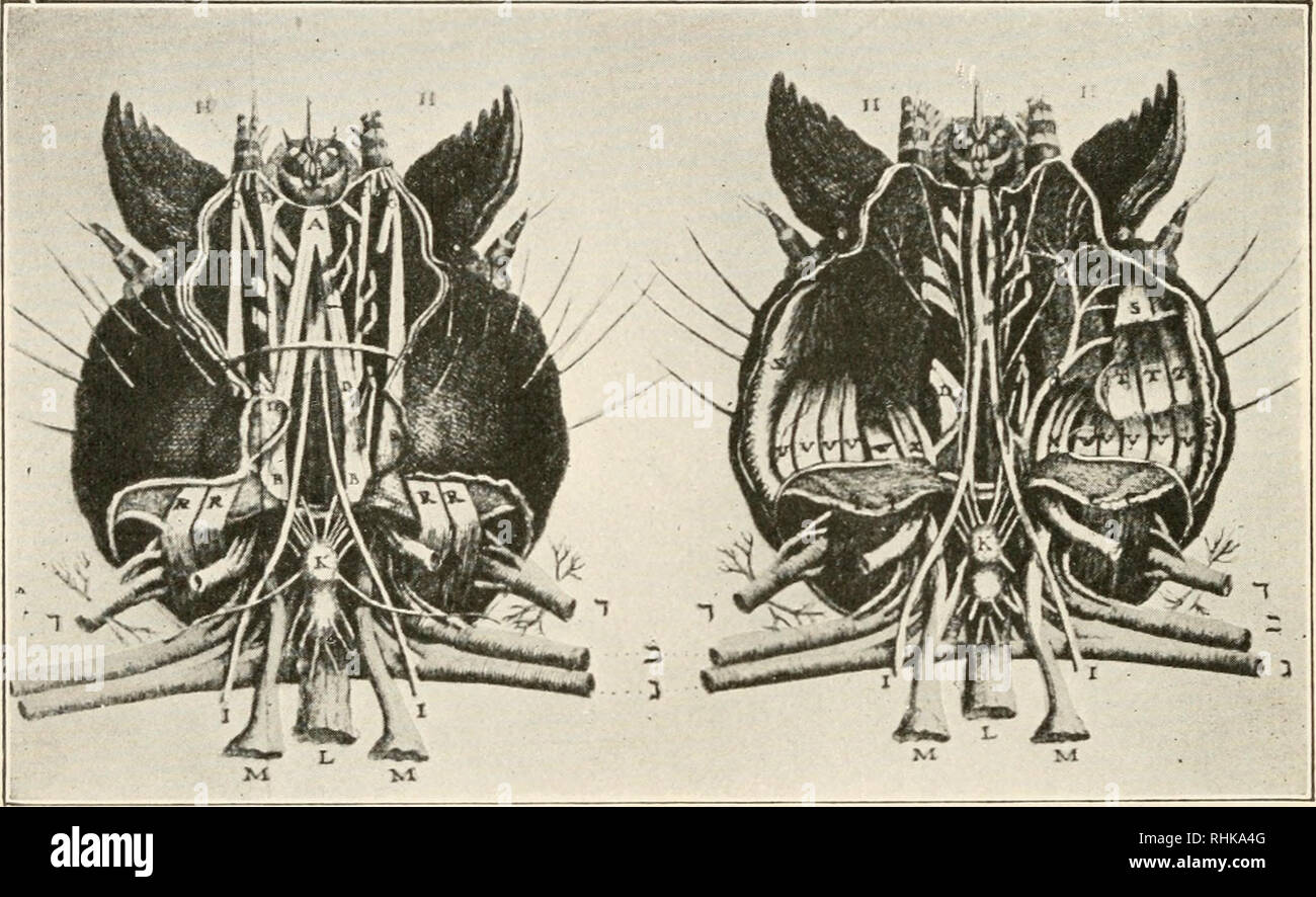. Biology and its makers. Biology -- History. 94 BIOLOGY AND ITS MAKERS ...