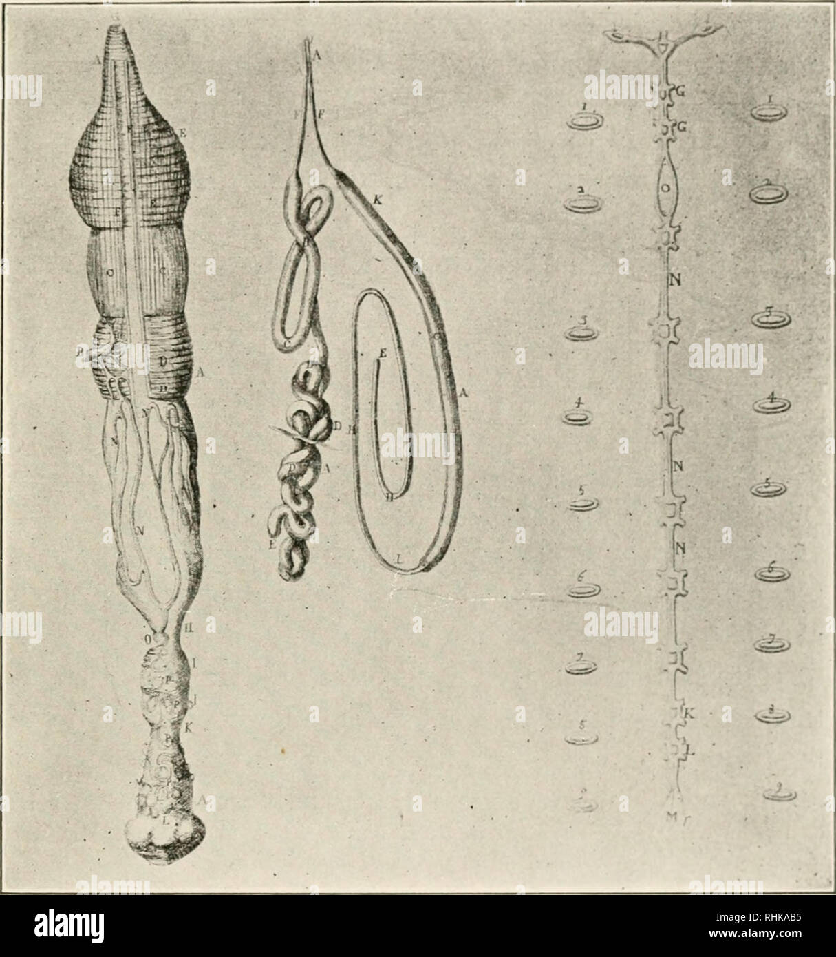 . Biology and its makers. Biology -- History. INTRODUCTION OF THE ...