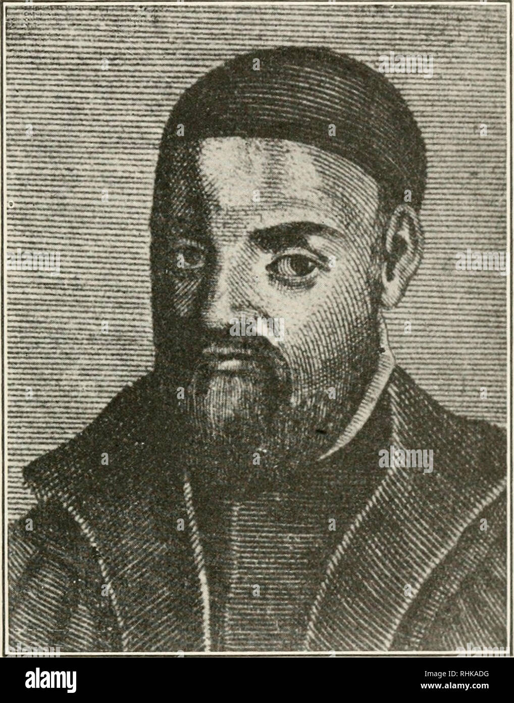 Fallopius hi-res stock photography and images - Alamy