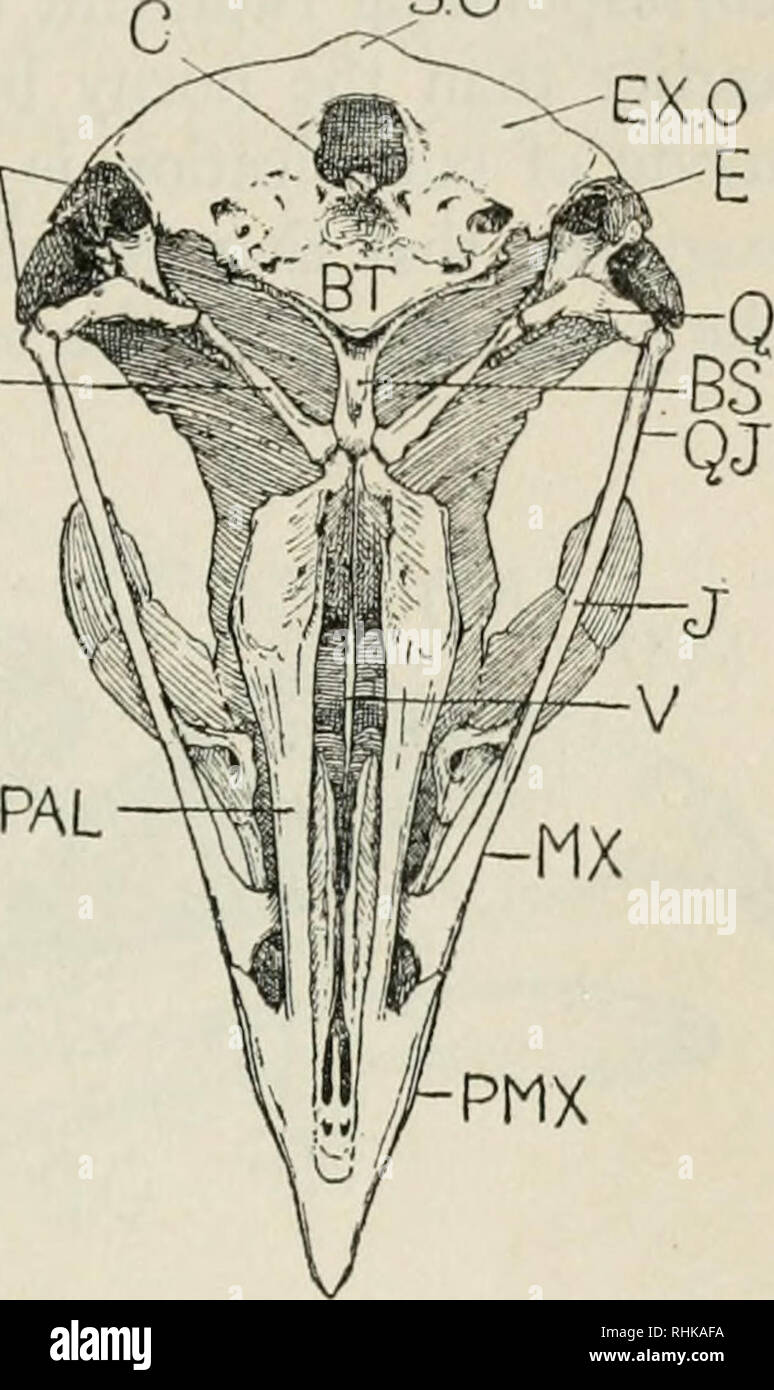 L quadra hi-res stock photography and images - Alamy