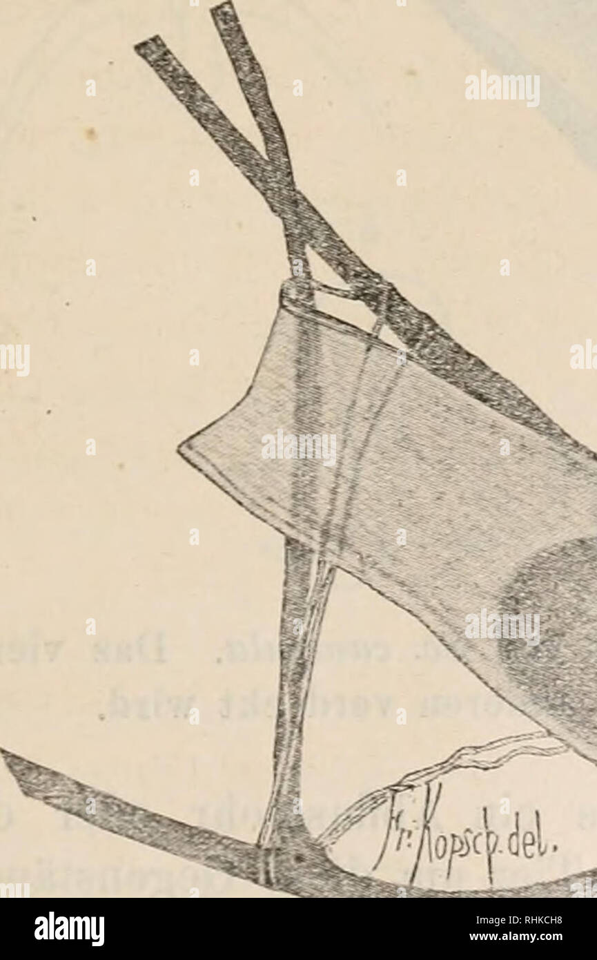 Berliner aquarium hi-res stock photography and images - Alamy