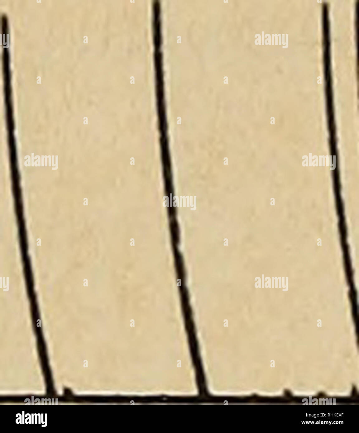 Ai measured hi-res stock photography and images - Alamy