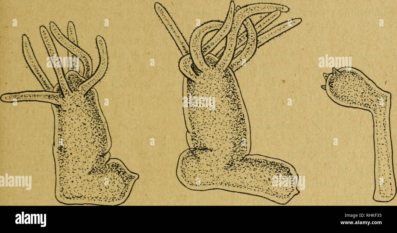 Abgetotet hi-res stock photography and images - Alamy