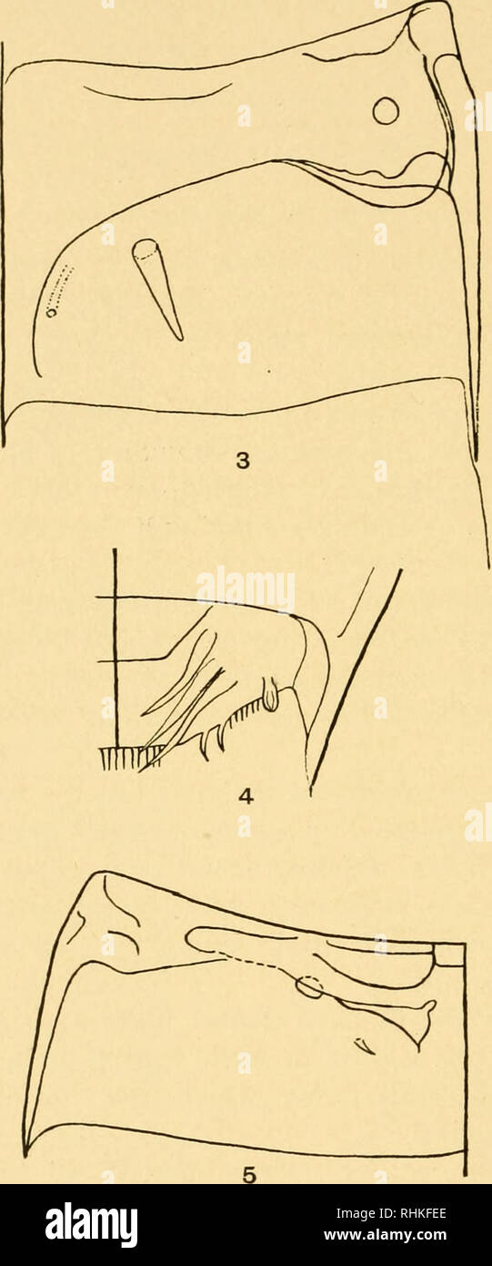Zonite hi-res stock photography and images - Alamy