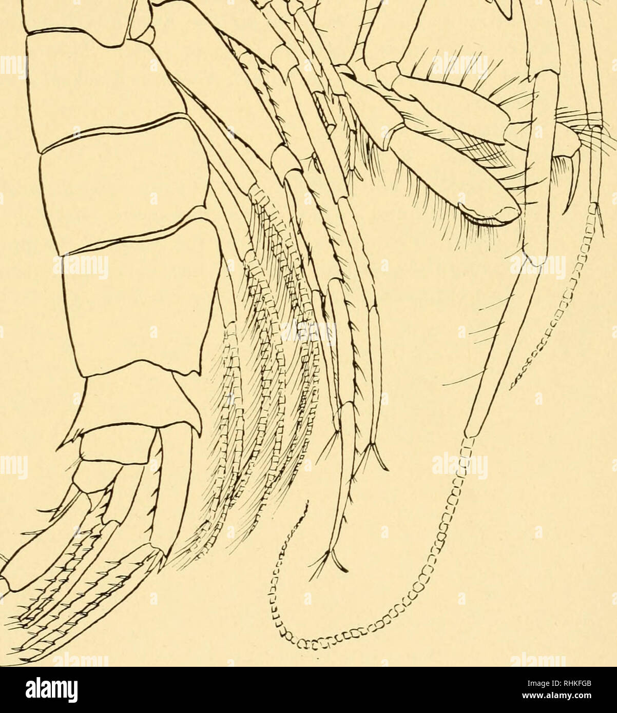Henry procter hi-res stock photography and images - Alamy