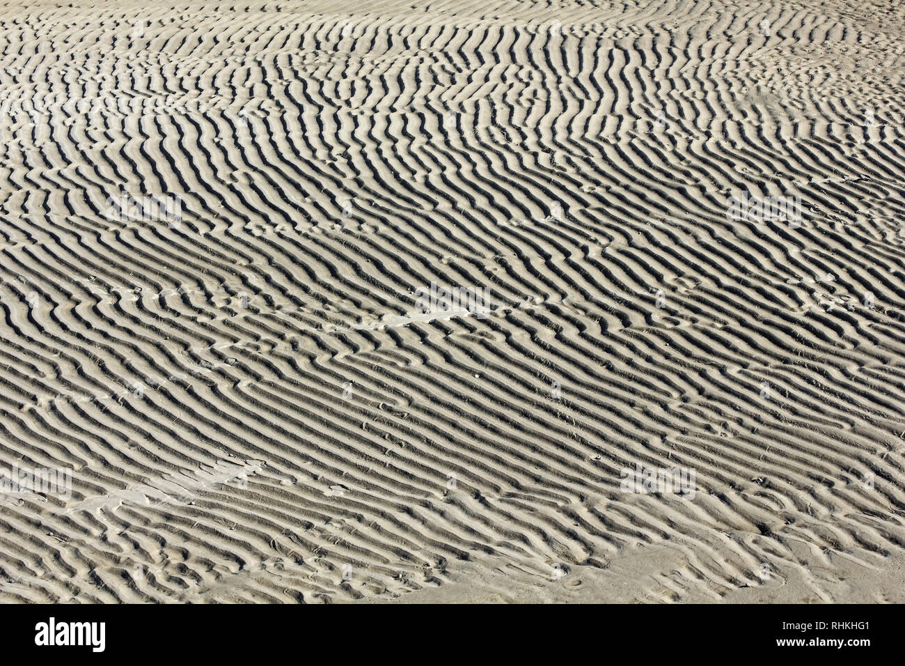 Wadden structures hi-res stock photography and images - Alamy