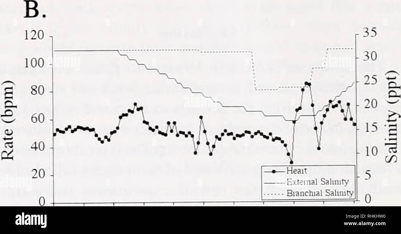 Normal salinity seawater hi-res stock photography and images - Alamy