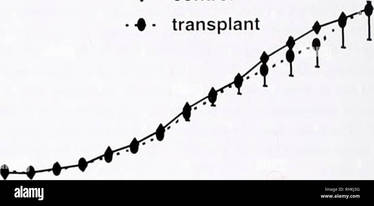 4 cell stage embryo hi-res stock photography and images - Alamy