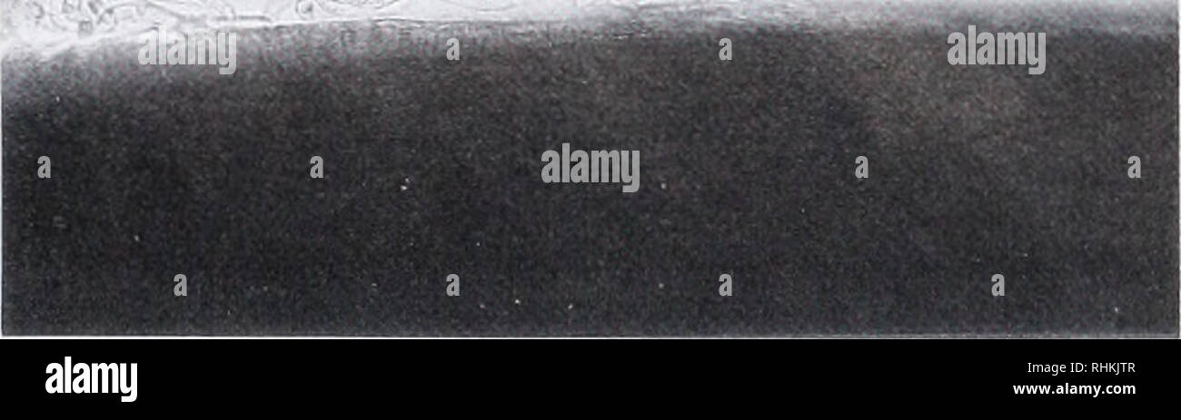 Dur triangular hi-res stock photography and images - Alamy