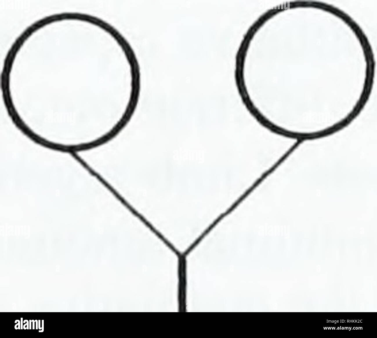 Pincerlike hi-res stock photography and images - Alamy
