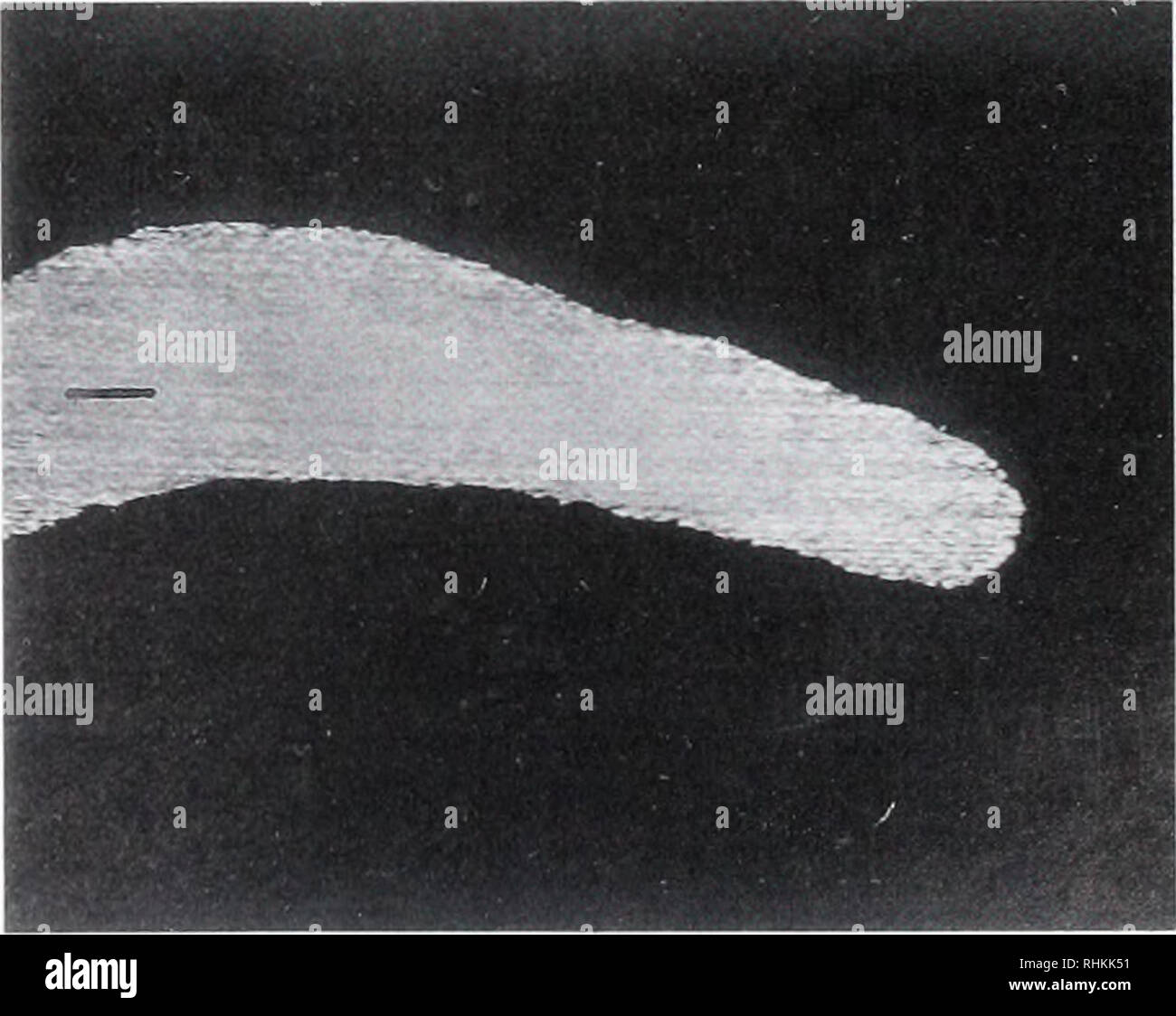 Fluorescence indicator hi-res stock photography and images - Alamy