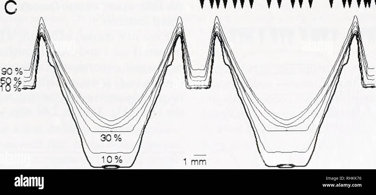 . The Biological bulletin. Biology; Zoology; Biology; Marine Biology ...