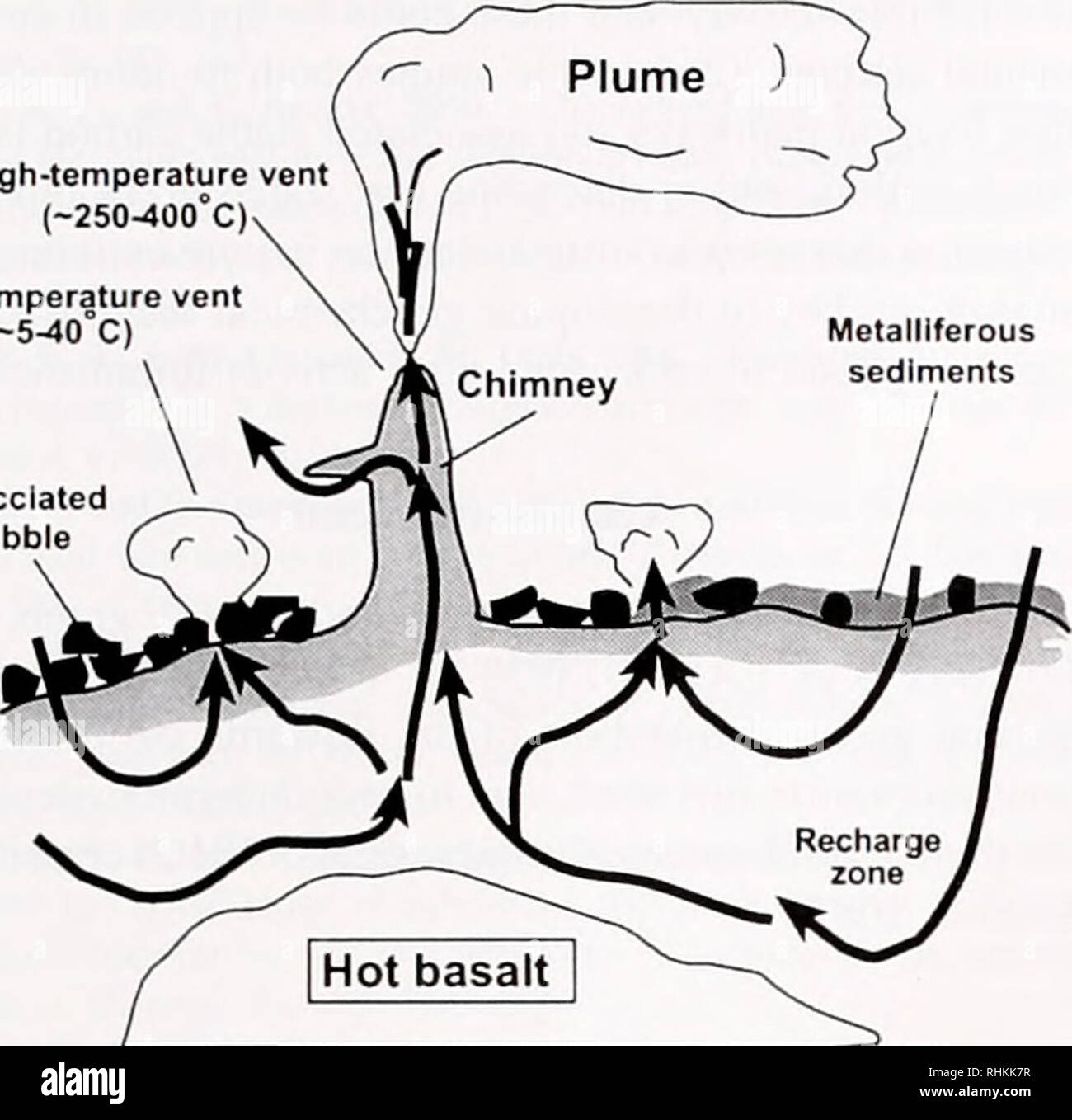 Biological Weathering Diagram