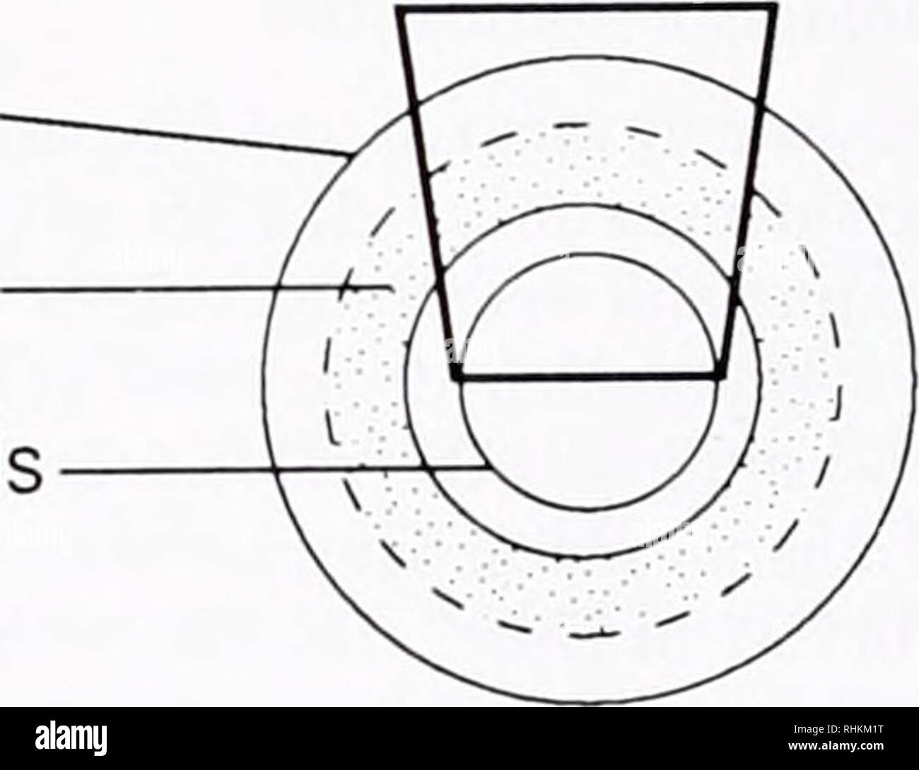. The Biological bulletin. Biology; Zoology; Biology; Marine Biology ...