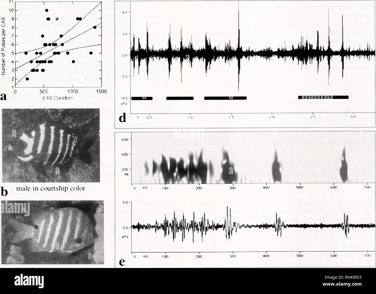 Acoustic signals hi-res stock photography and images - Alamy
