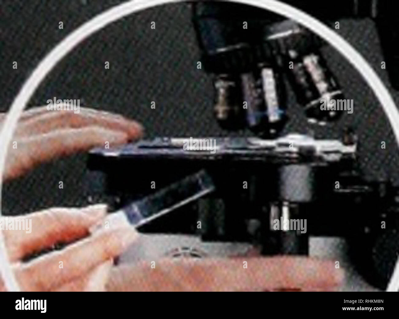 . The Biological bulletin. Biology; Zoology; Biology; Marine Biology ...