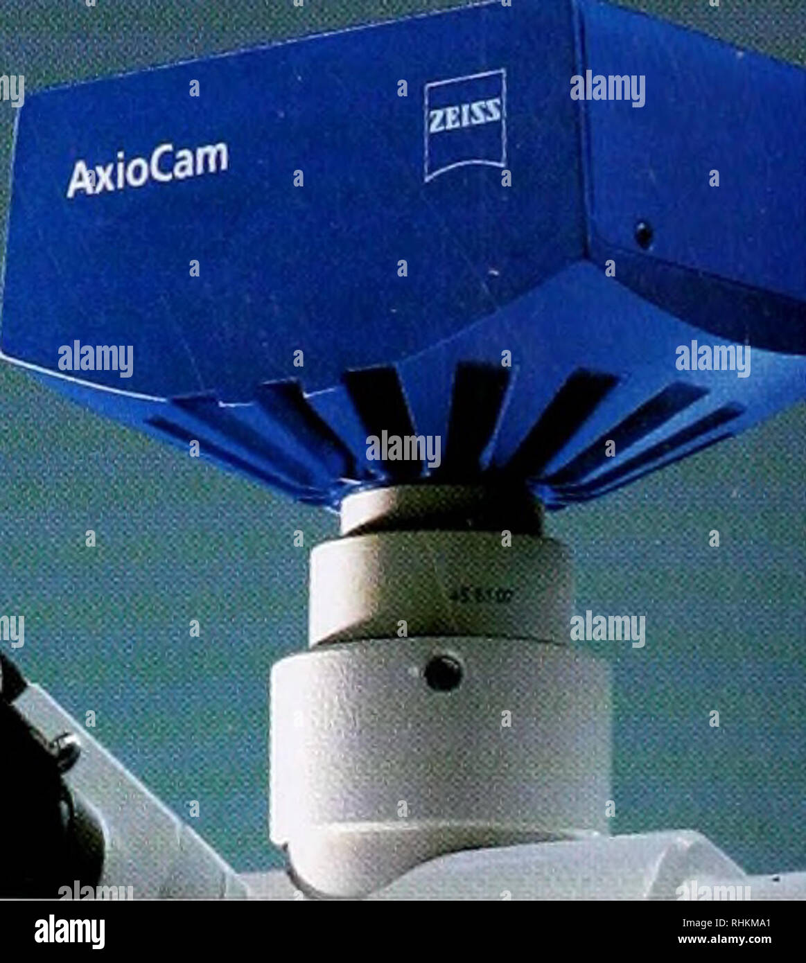 . The Biological bulletin. Biology; Zoology; Biology; Marine Biology ...