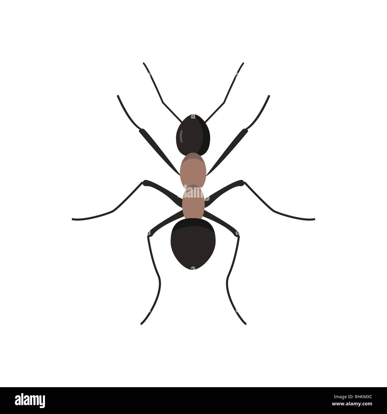 Ant on white background for graphic and web design, Modern simple ...