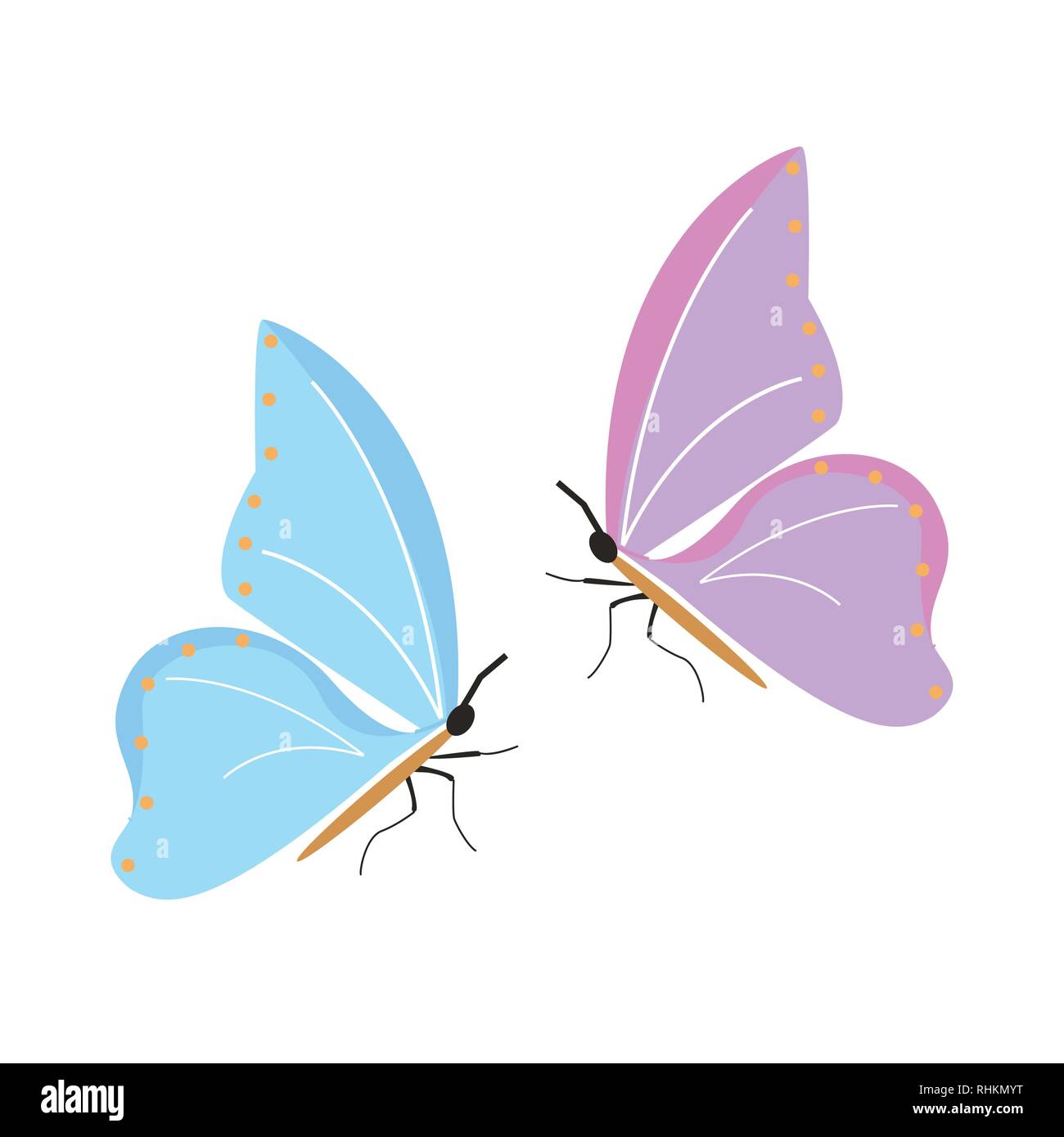 Animated Butterfly Graphics