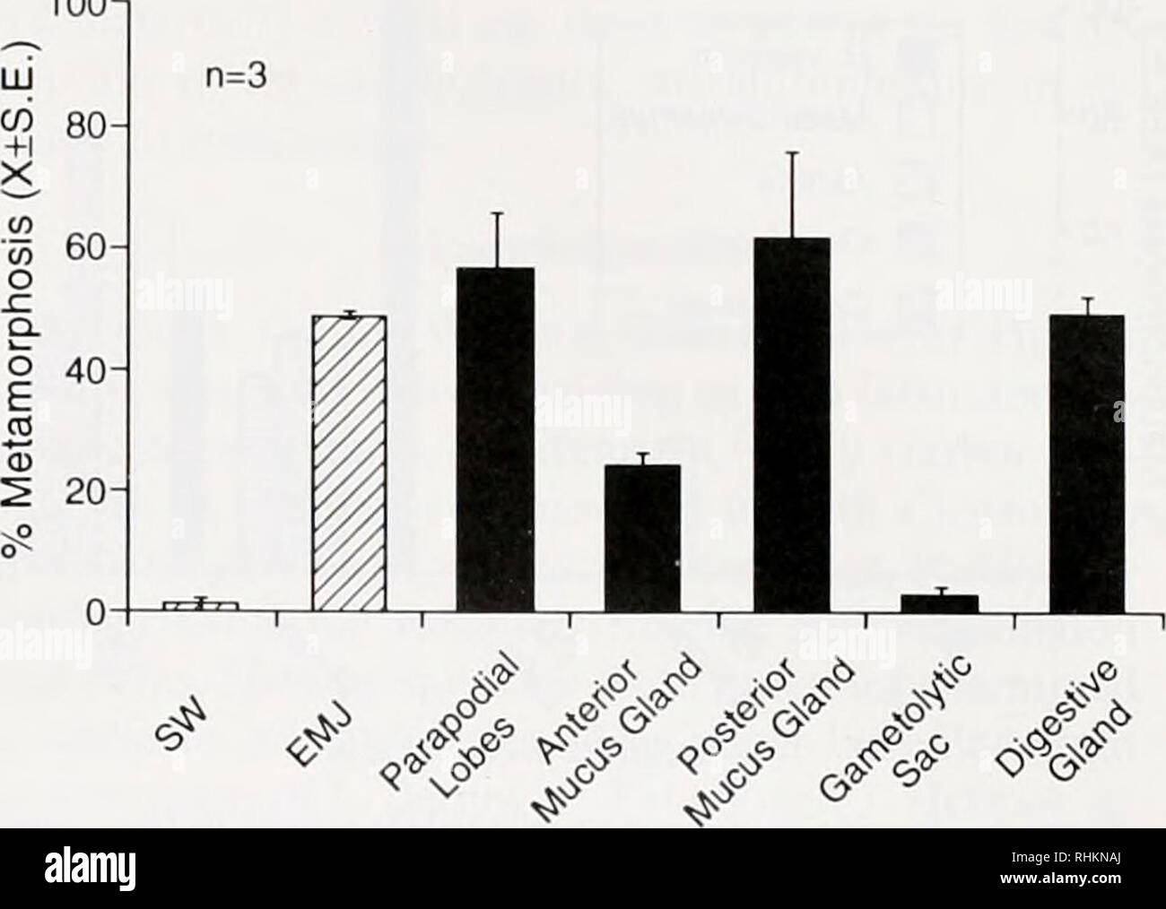 High performance liquid chromatograph hi-res stock photography and ...