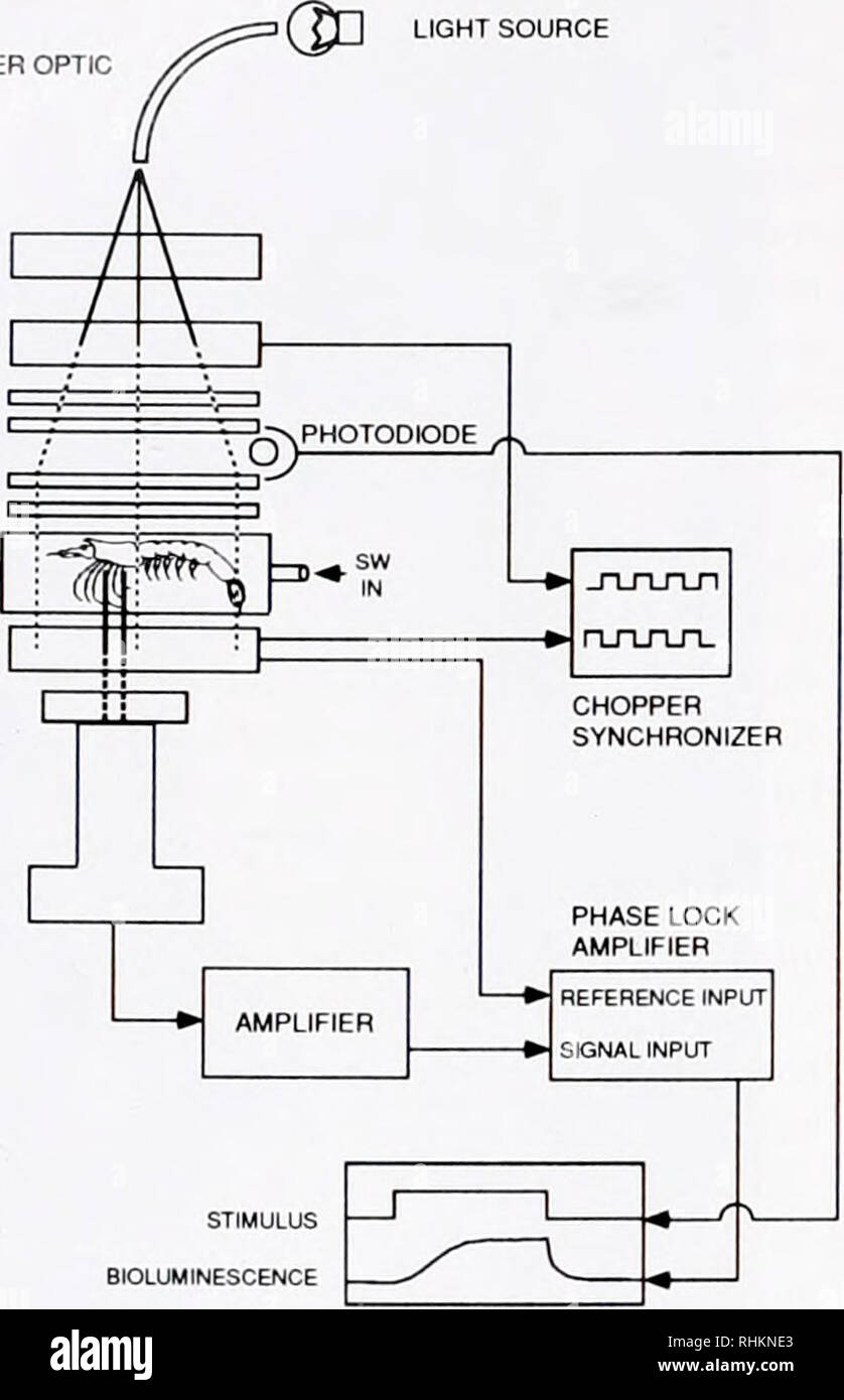 Pulsed light source hi-res stock photography and images - Alamy