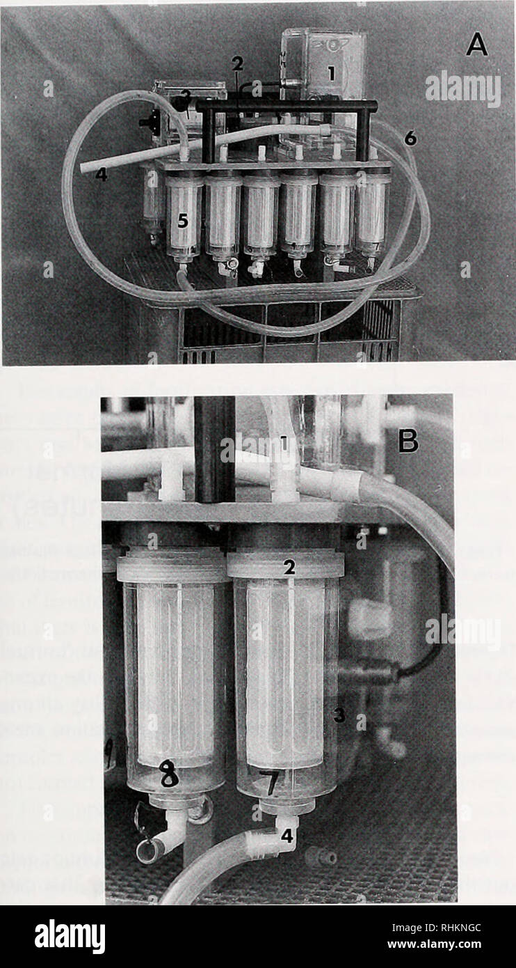 Sample cartridge assembly hi-res stock photography and images - Alamy