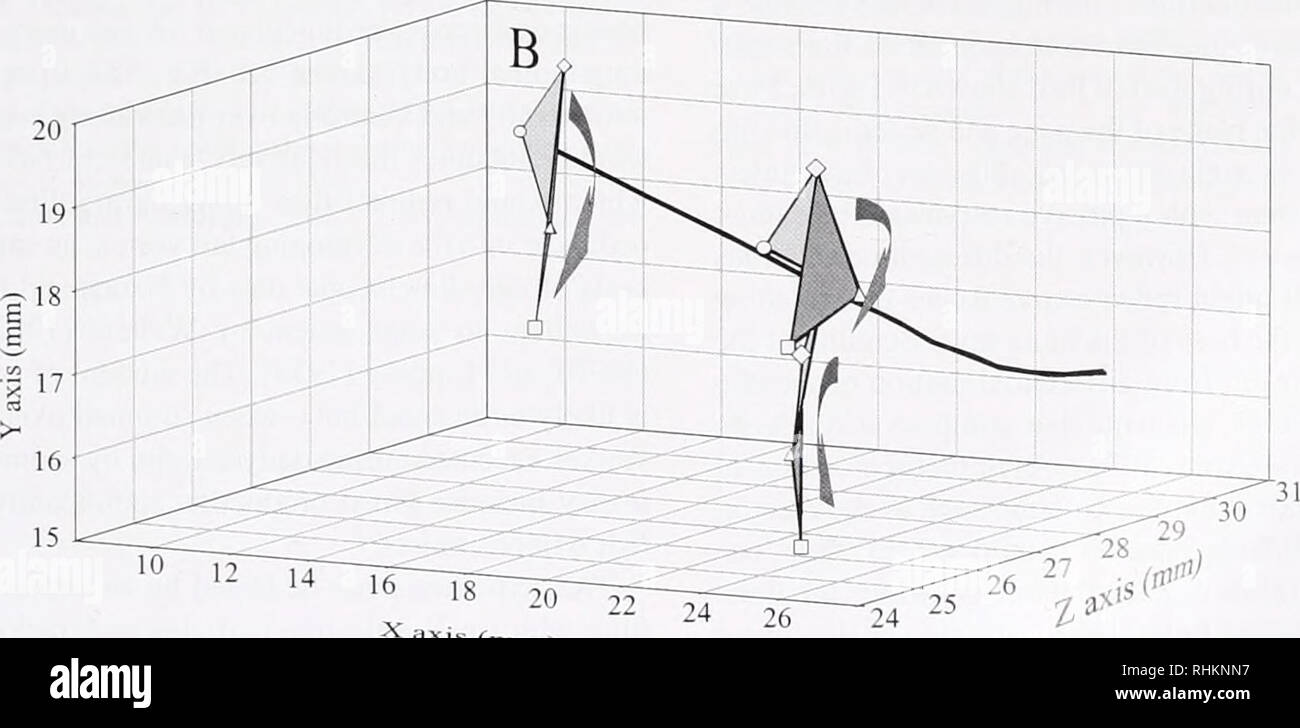 . The Biological bulletin. Biology; Zoology; Biology; Marine Biology ...