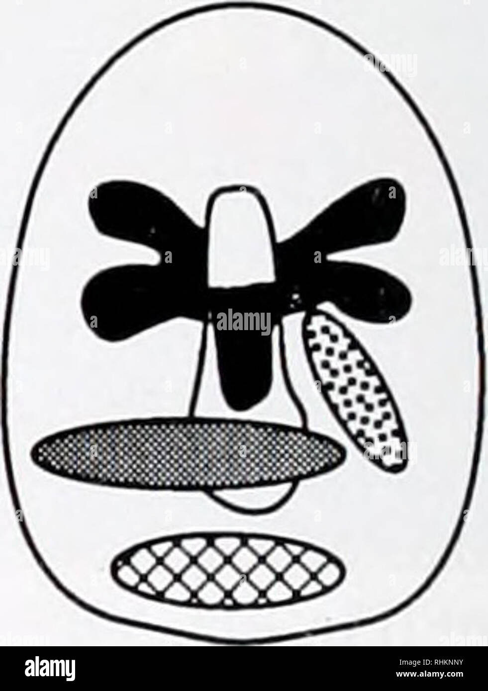 . The Biological bulletin. Biology; Zoology; Biology; Marine Biology ...