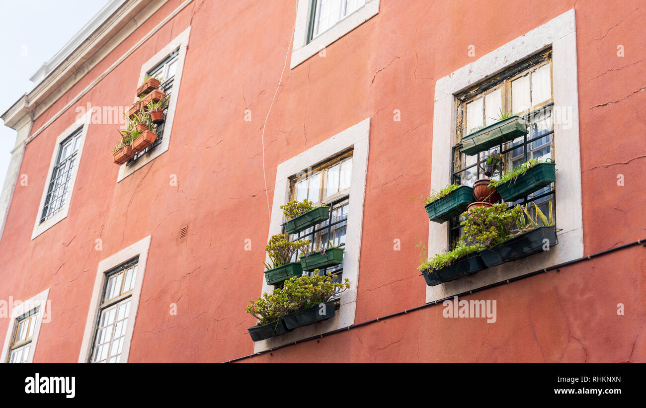 Window flower boxes and plant boxes, pot plants. Old red building ...