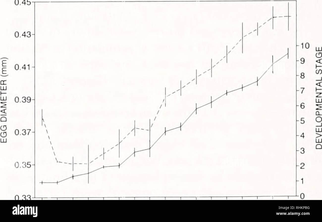 Sesarma reticulatum hi-res stock photography and images - Alamy