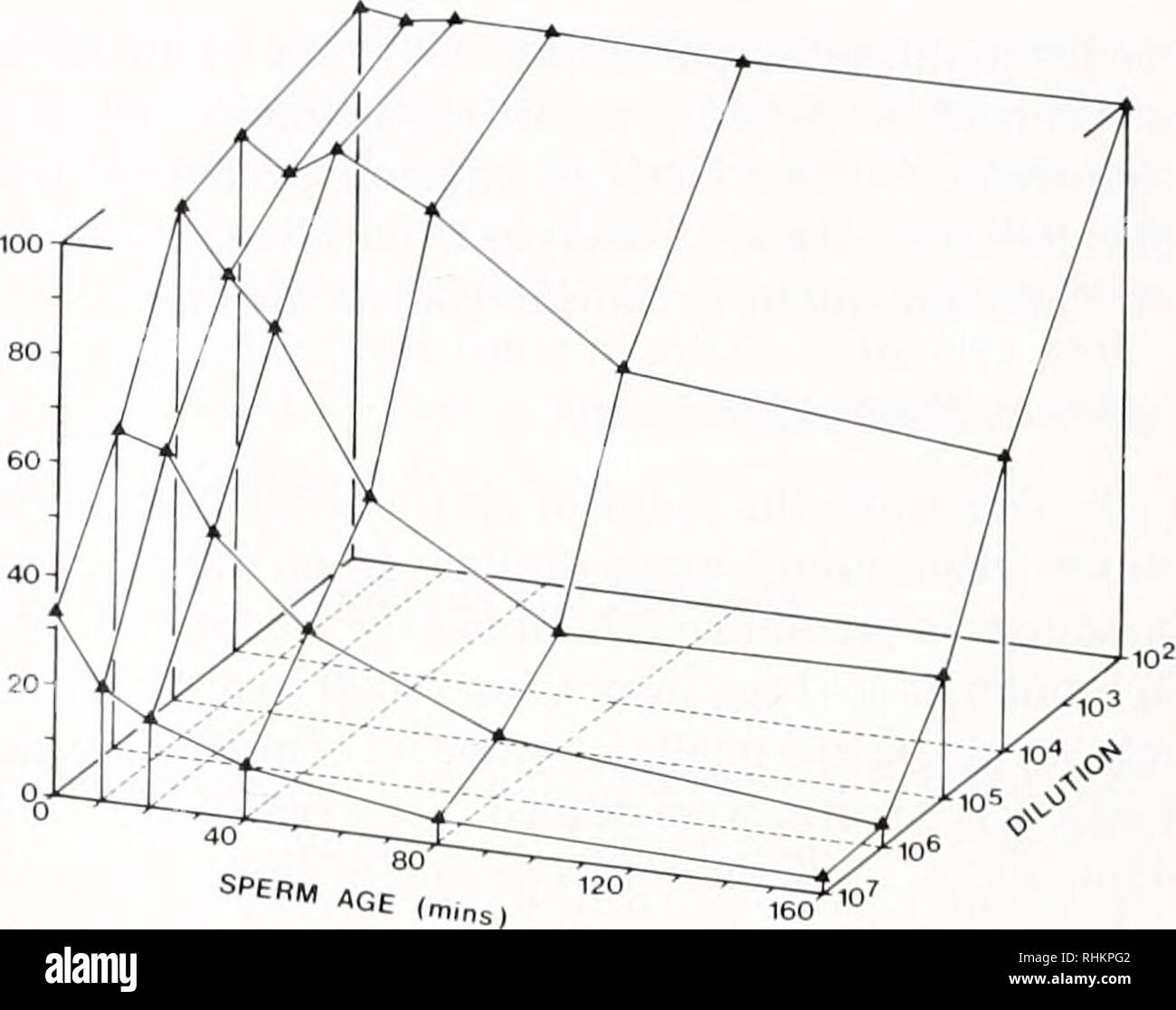 Hemocytometer hi-res stock photography and images - Alamy