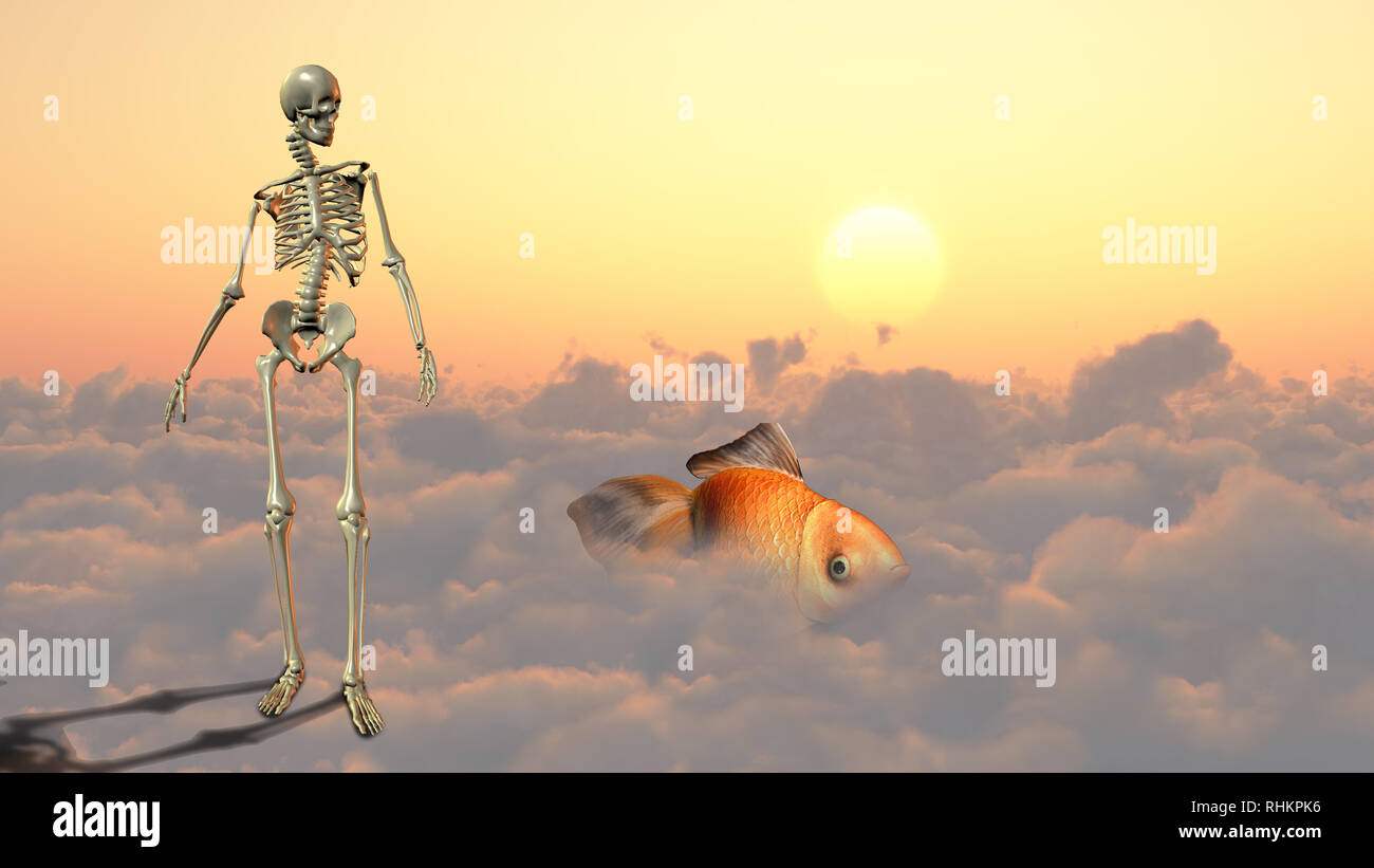 Skeleton and golden fish on a cloud Stock Photo - Alamy