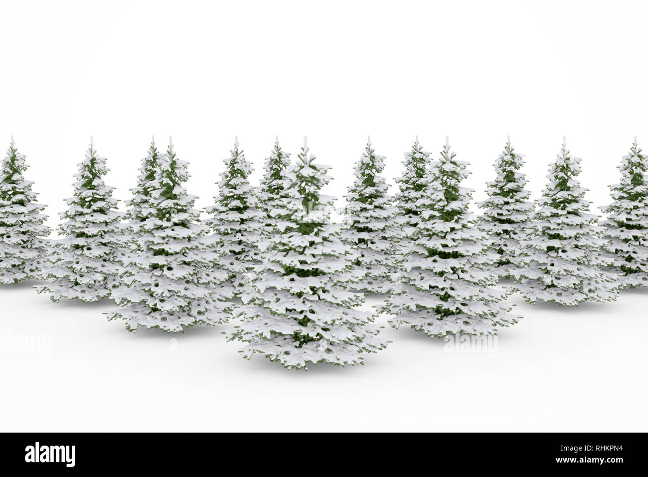 Row of Christmas trees with snow isolated on white background Stock ...