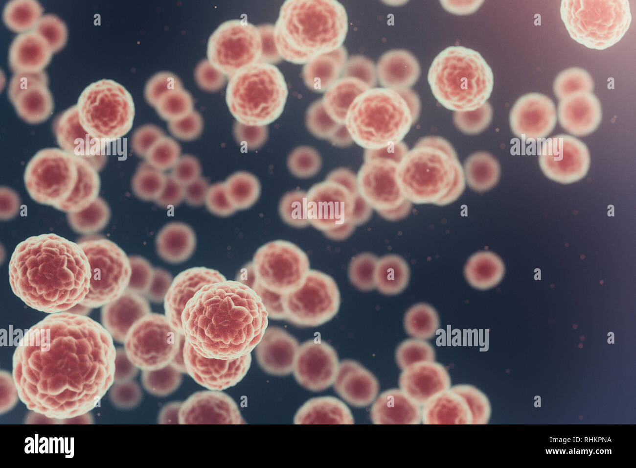 Human cell hi-res stock photography and images - Alamy