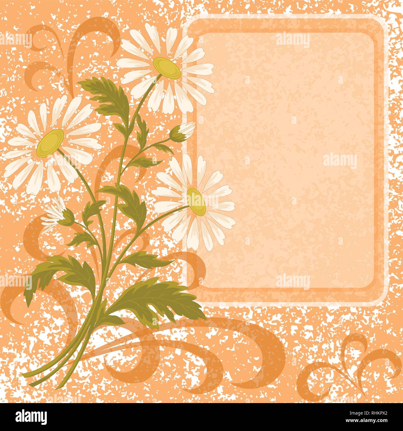 Blank flower greeting card Stock Vector Images - Alamy