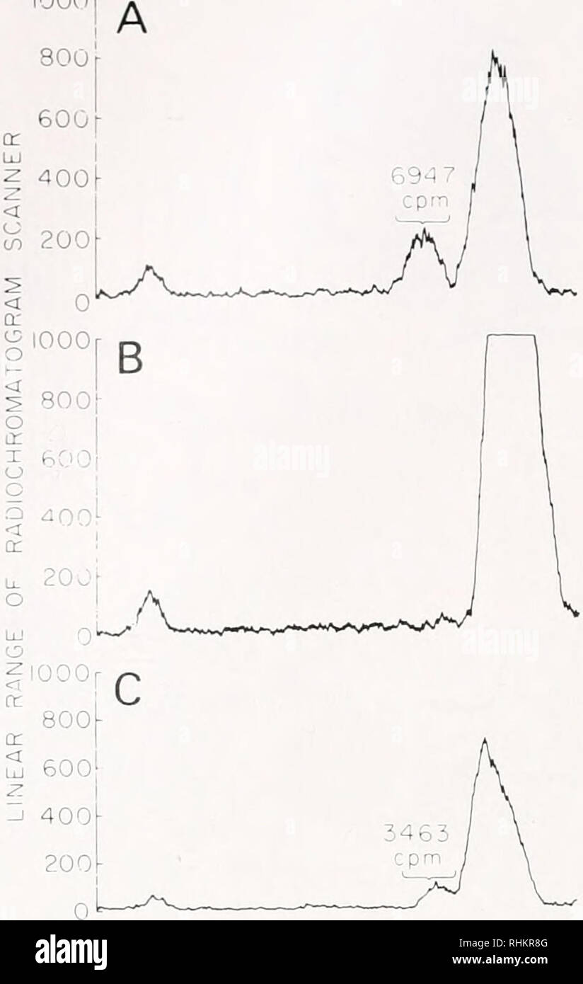 . The Biological bulletin. Biology; Zoology; Biology; Marine Biology ...