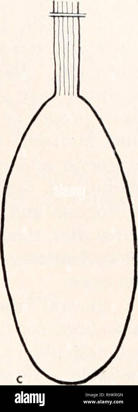 . The Biological bulletin. Biology; Zoology; Biology; Marine Biology ...