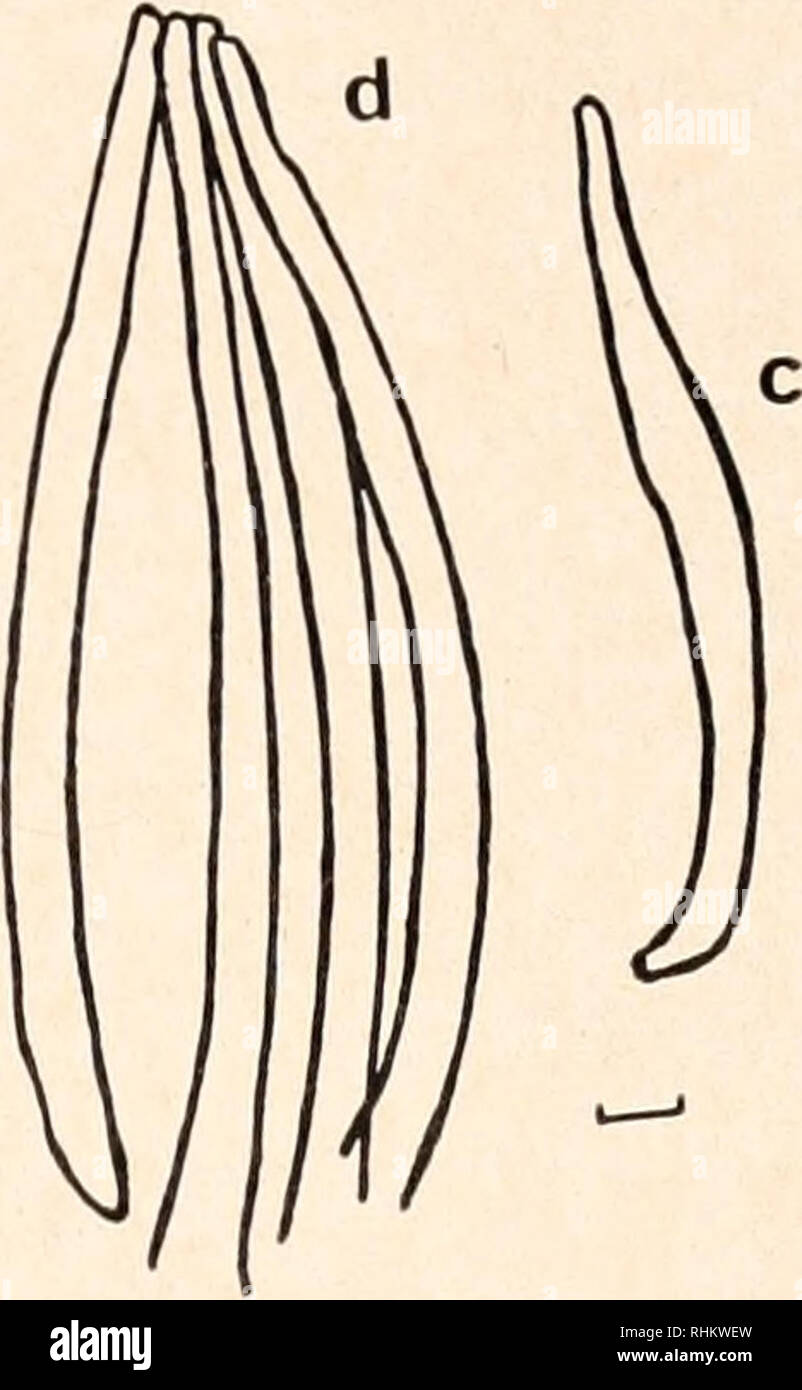 . The Biological bulletin. Biology; Zoology; Biology; Marine Biology ...